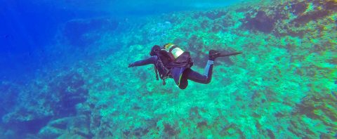 Malta Dive Sites| Diving Holidays In Malta